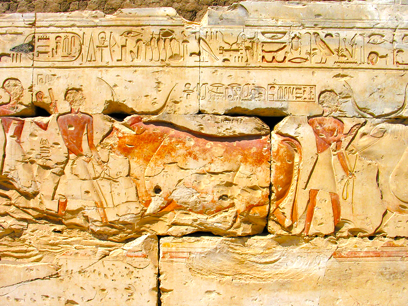 Home page | DB Digger | Tool for collecting documentation and data digitalization